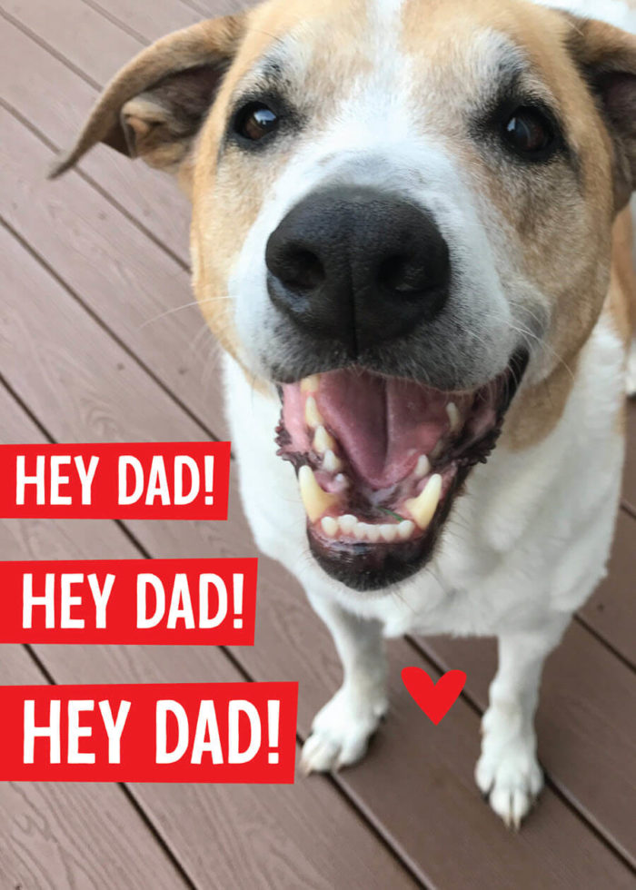 Meet The Artist: Vicky Barone - Unique Gift Ideas & More - The ...