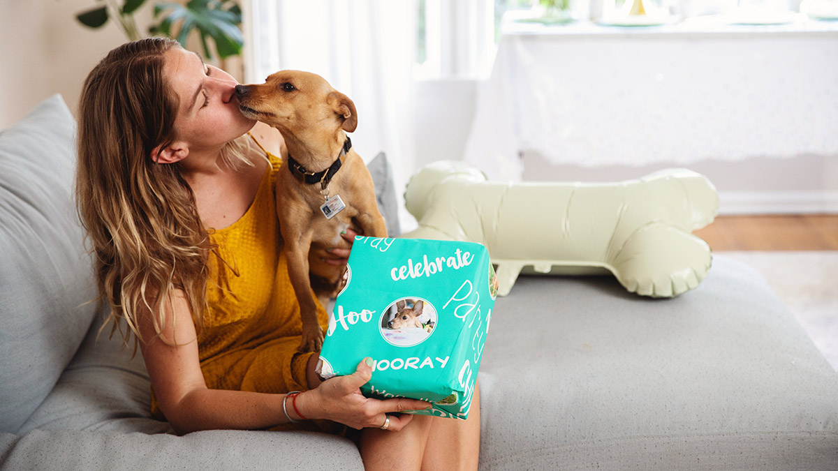 Ways to Celebrate National Dog Day - Unique Gift Ideas & More - The ...